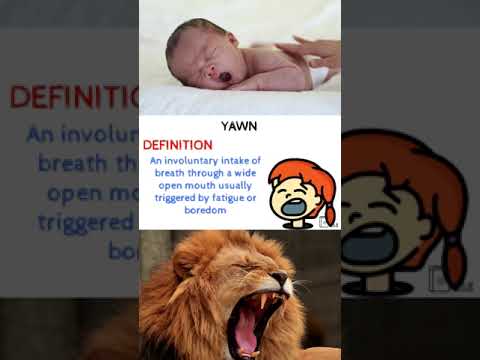 Yawn Pronunciation | Yawn Definition | Yawn Synonyms | Yawn Antonyms #Short #YTshortvocabulary