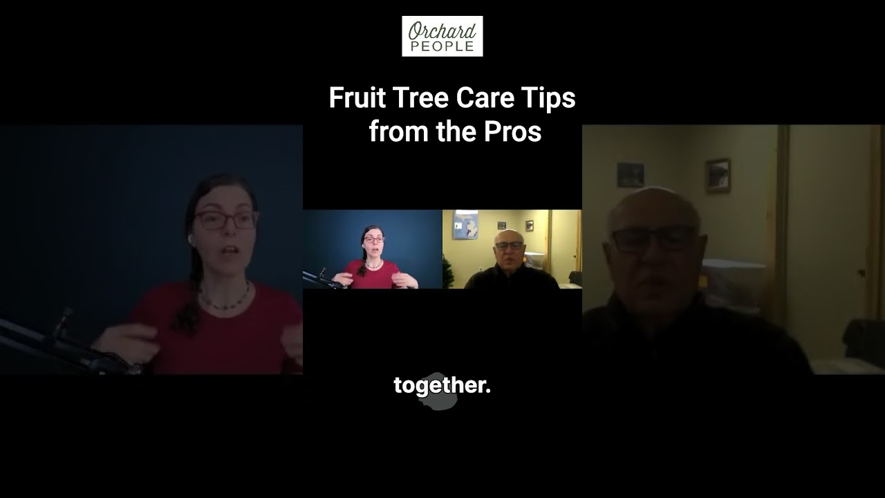 Pruning vs. Training: How to Care for High-Density and Freestanding Fruit Trees”