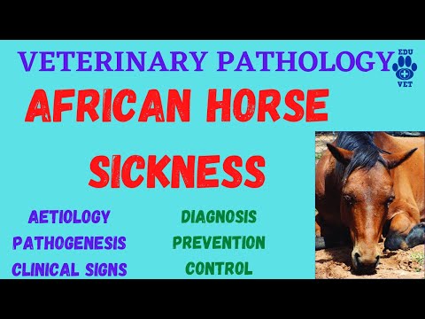 African Horse Sickness--Etiology, Pathogenesis, Clinical Signs & Diagnosis