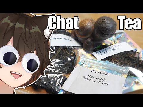More tea for the turtle tea pet【Chat & Tea】 Charity Stream day 7