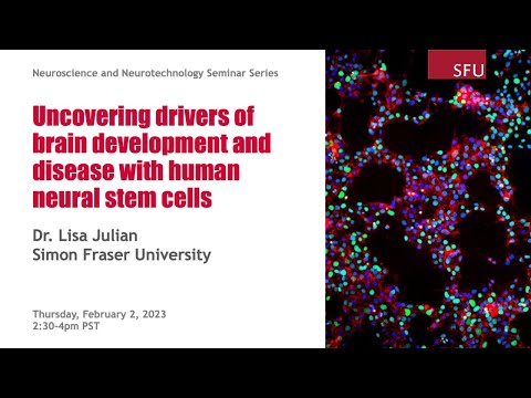 [Lisa Julian] Uncovering Drivers of Brain Development and Disease with Human Neural Stem Cells