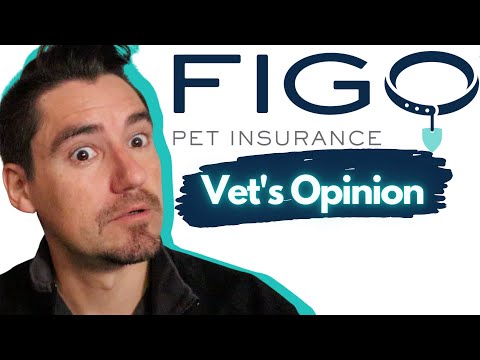 Figo Pet Insurance Vet's Opinion