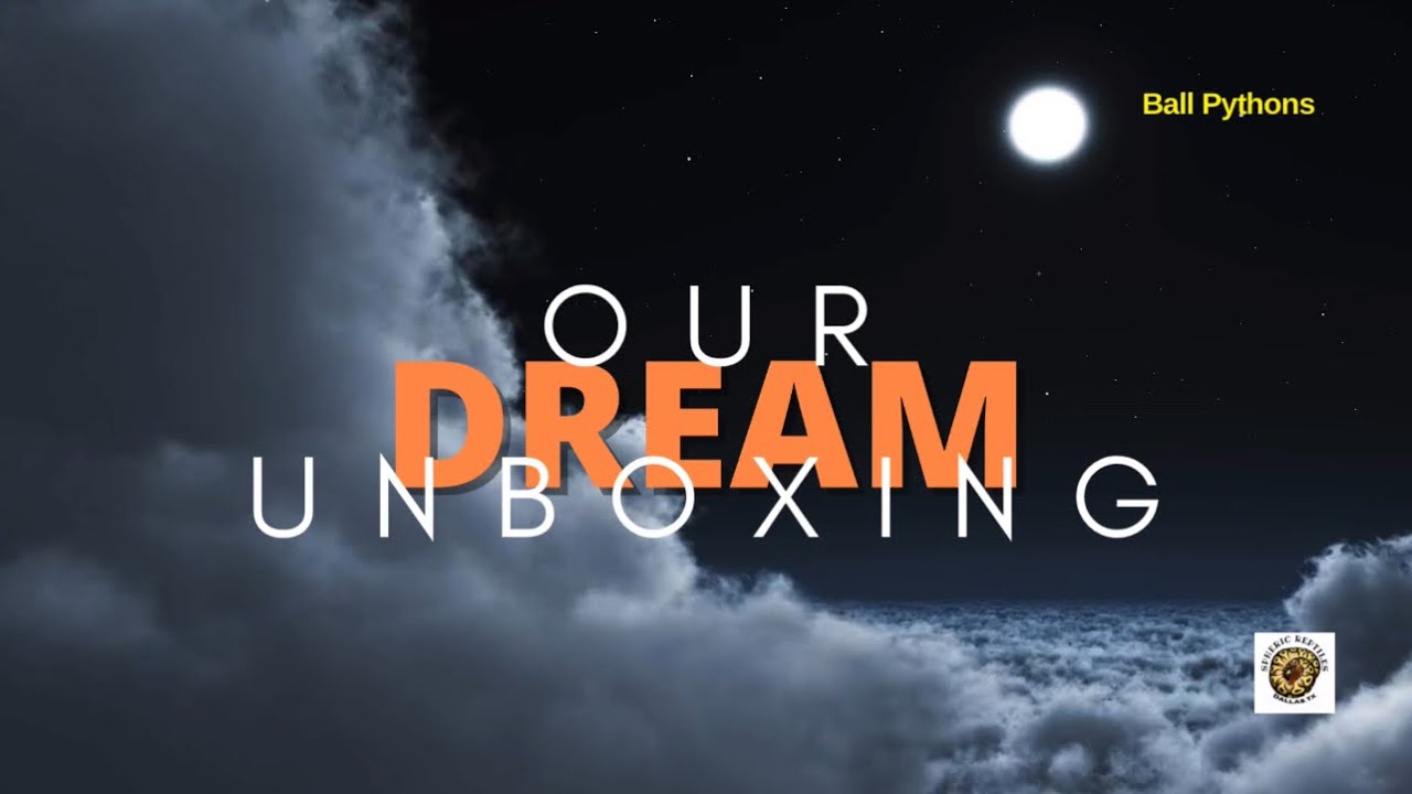 Our Dream Unboxing | Ball Python | #youtubevideos #ballpython #pets #snake