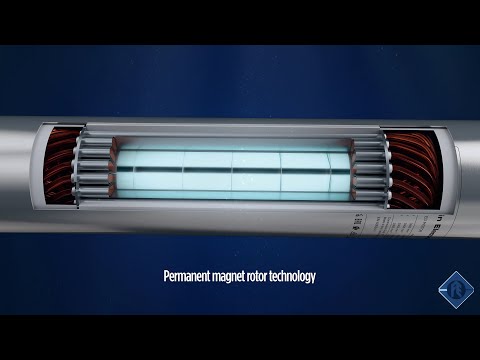 Permanent magnet technology in submersible motors