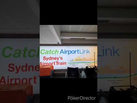 TripView App Transport for NSW | Opal Card | VLog | Adventure Experience