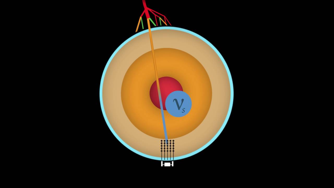 The Search for Sterile Neutrinos in IceCube