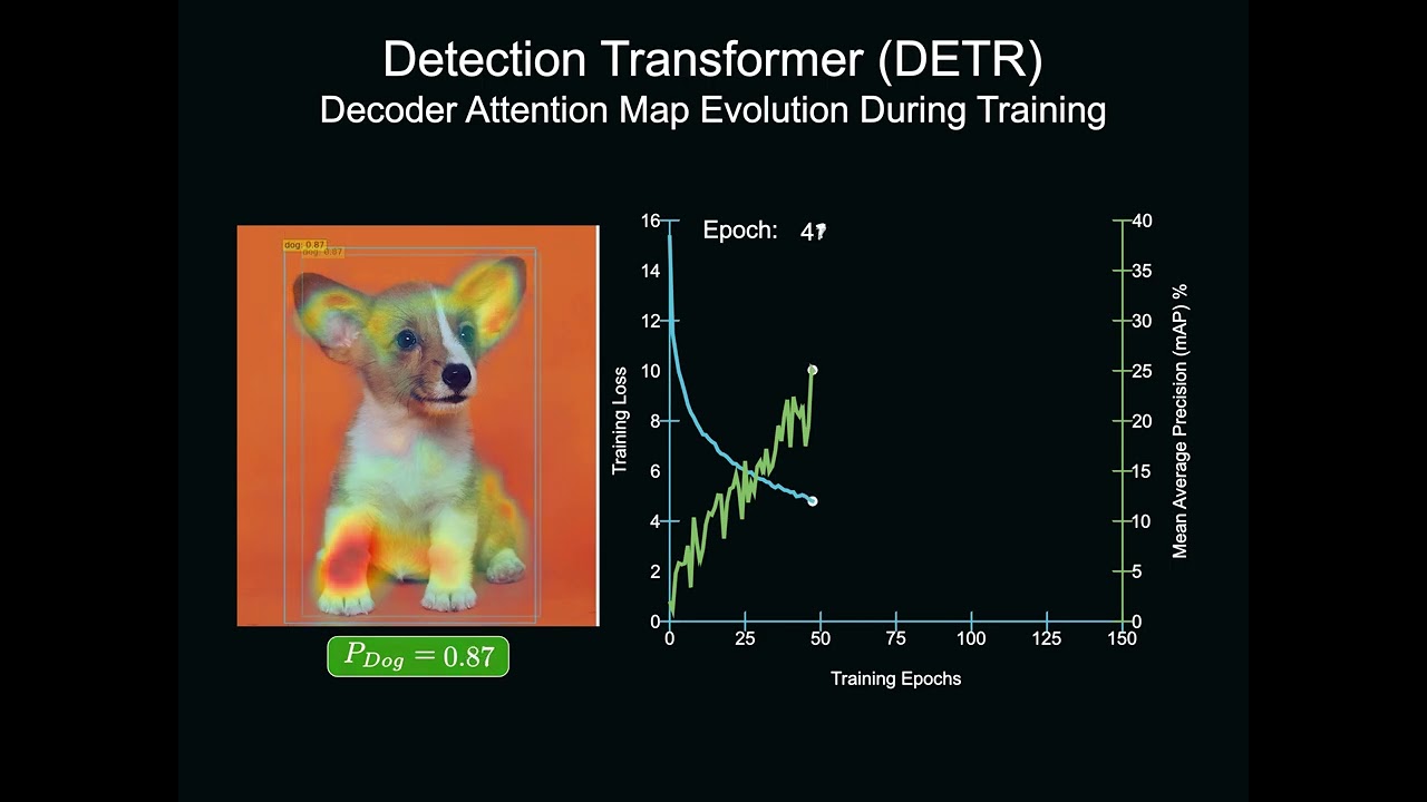 How Does a Transformer AI Model Learn? Visualizing Attention Map Evolution in DETR