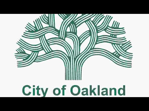 Oakland City Council Candidates For Election 2024: Who Is Running For What Race In Oakland?