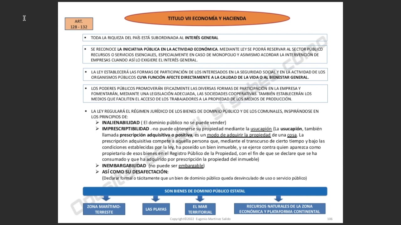 Constitución con esquemas y  PDF  gratis. clase 20