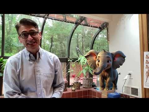 Manning's English Idioms: What Does βElephant in the Roomβ Mean? | English Idiom Explained