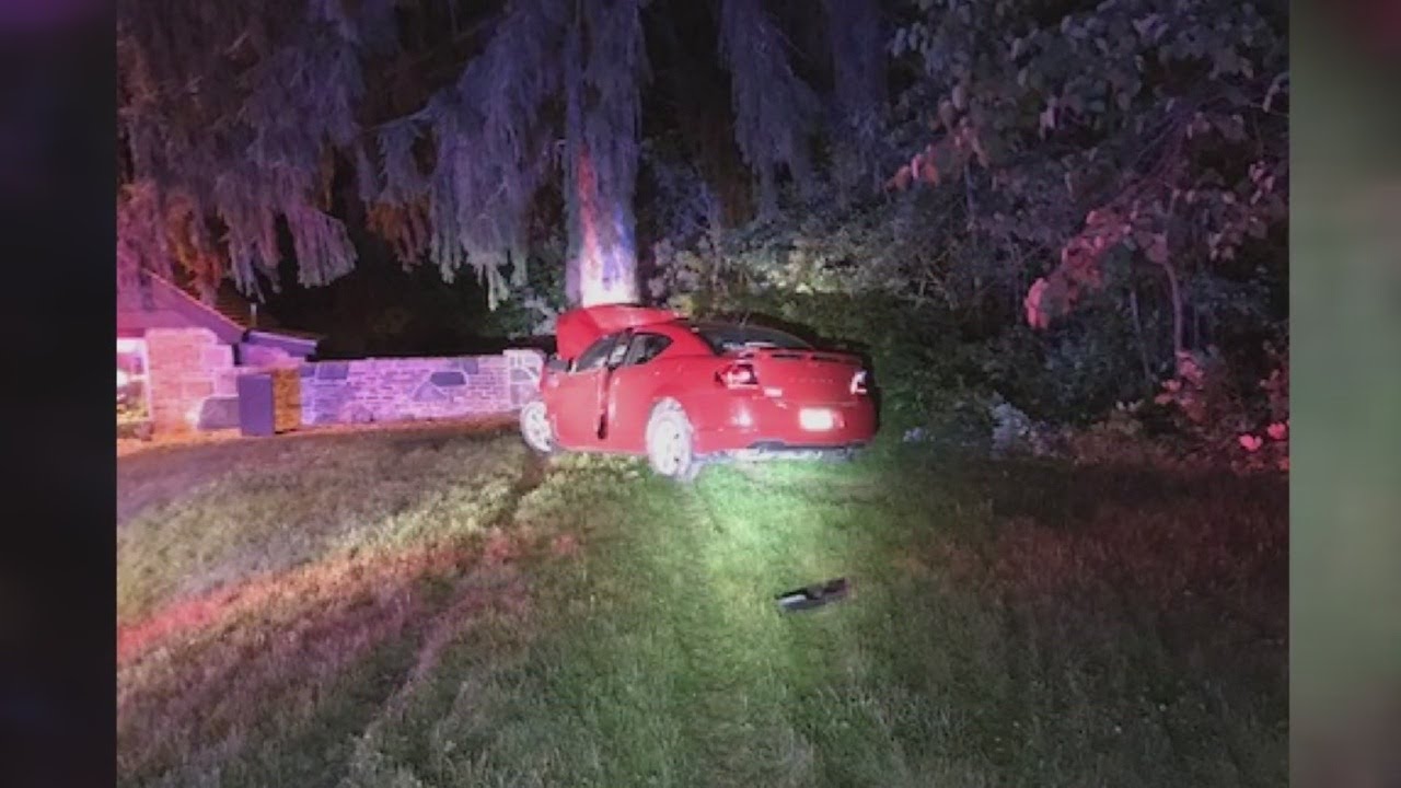 2 airlifted after car hits tree