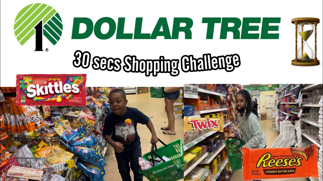 30 Seconds Dollar Tree Challenge