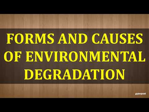FORMS AND CAUSES OF ENVIRONMENTAL DEGRADATION