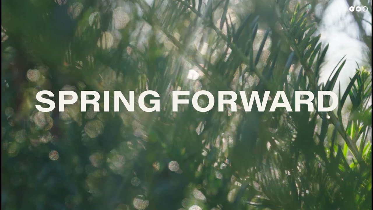 Introducing Studio Edits: Spring Forward