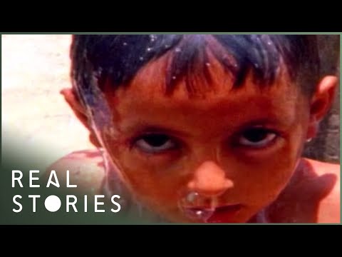 A World Without Water (Global Warming Documentary) | Transition Studies