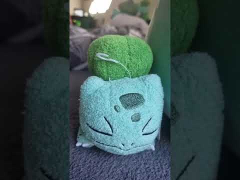 Look At the Little Baby Bulbasaur😊 #bulbasaur #pokemon