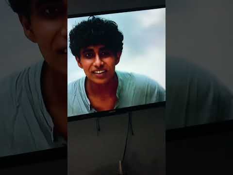 Life of pi hyena rampage