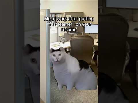Huh cat meme