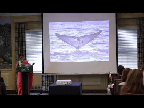 Asha de Vos at the 2018 WINGS WorldQuest Fellows Forum