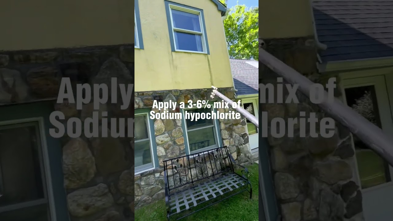 Easiest way to wash stucco houses #softwashing