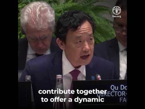 FAO Director-General speech at meeting of Rome-based agencies'governing bodies 1