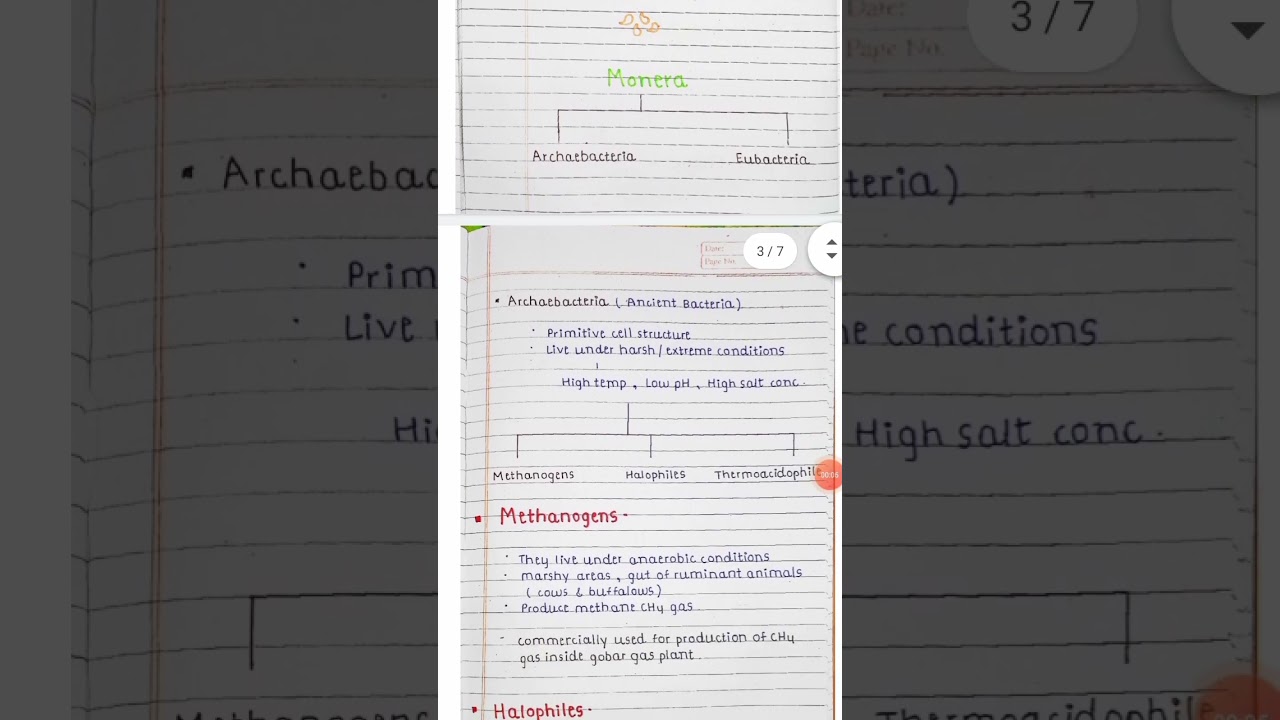 Biological Classification Notes | Part 1 | 11th grade | Biology | #neet  #biology #kondishamesong