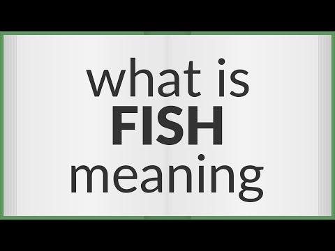 Fish | meaning of Fish