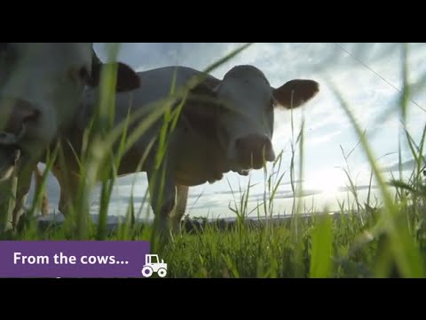 Magnificent Milk with farmer Graham in Blackburn (Trailer)