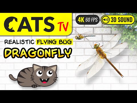 GAME FOR CATS - Realistic Dragonfly for cats to watch 4K 🔴60FPS [CATS TV]