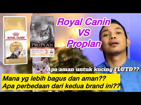 PERBANDINGAN MAKANAN KUCING DRY FOOD ROYAL CANIN DAN PROPLAN - Lebih bagus Royal Canin atau Proplan
