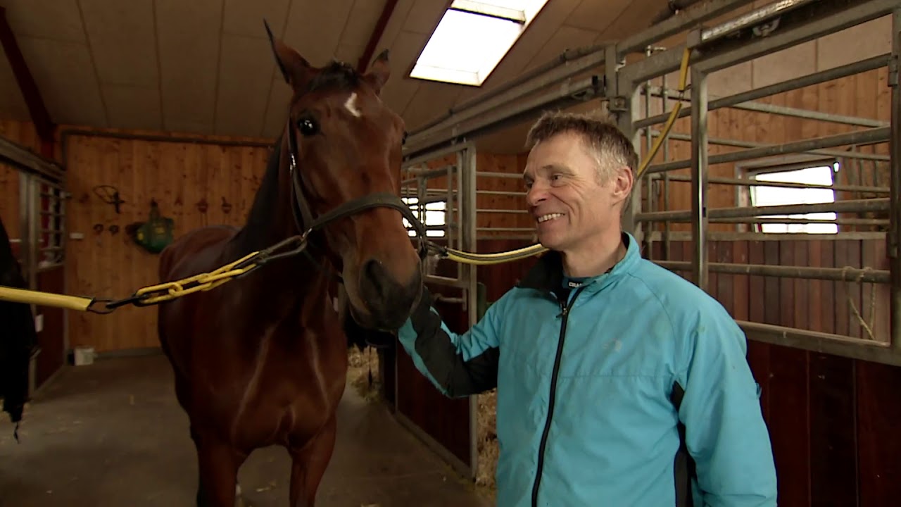 The champion stallion gelding – Tales of legendary trotters