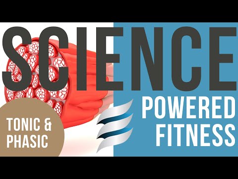 Science-Powered Fitness: Let's talk about tonic and phasic muscles