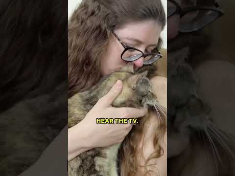 The Loudest Purr In The World! 🌎