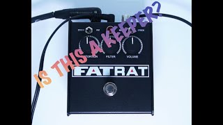 Pro Co Fat Rat - What To Know & Where To Buy | Equipboard