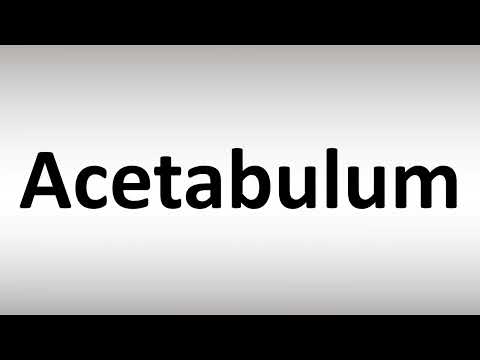 How to Pronounce Acetabulum