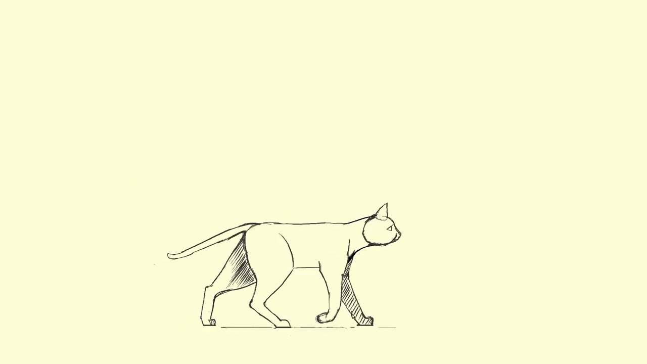 A cat walking and sitting