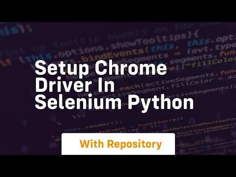 setup chrome driver in selenium python