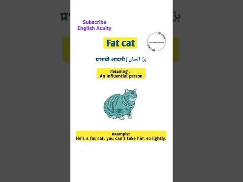Fat cat meaning | cat related idioms | #englishacuity