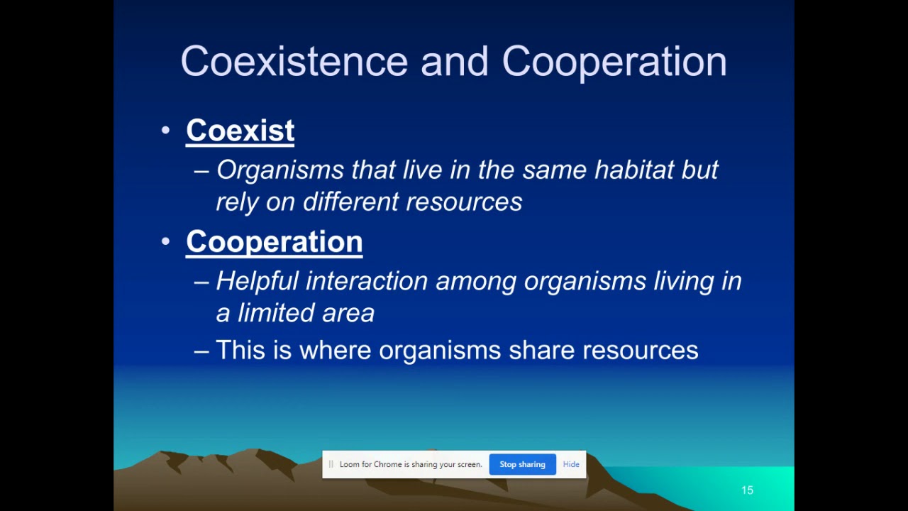 Ecosystem Powerpoint Notes