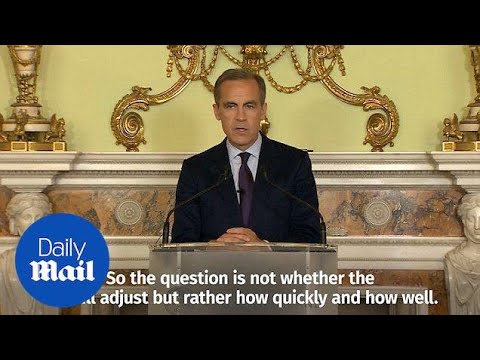 Mark Carney hints at interest rate drop after Brexit vote - Daily Mail