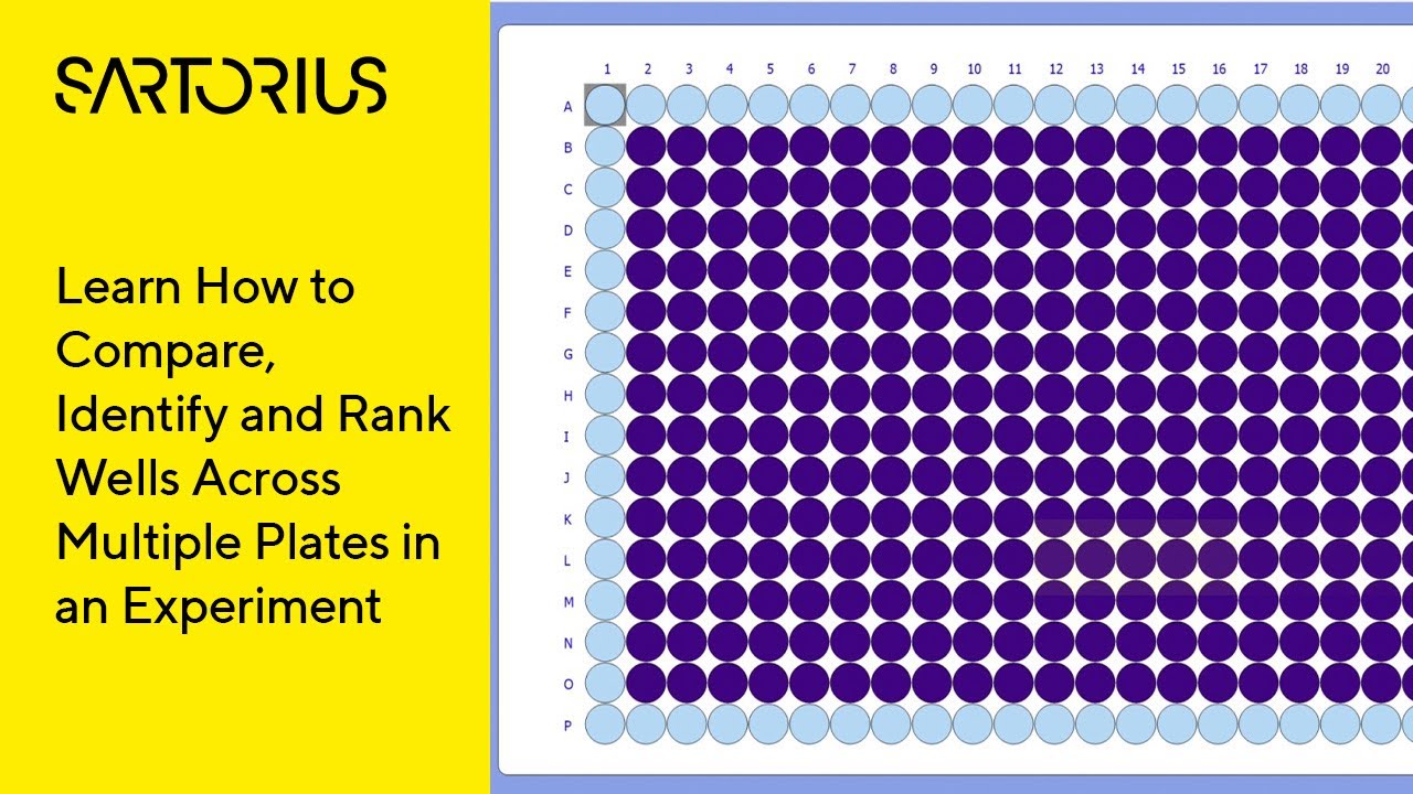 Forecyt® Panorama Video Snippets: Creating a Panorama