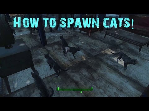 Steam Community :: Video :: Fallout 4 CATS?! How to spawn Cats!