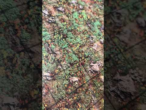 The Terrain Set - Detailed Maps