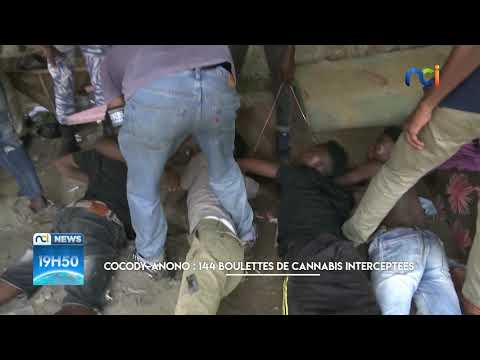 Cocody-Anono / 144 boulettes de cannabis interceptées
