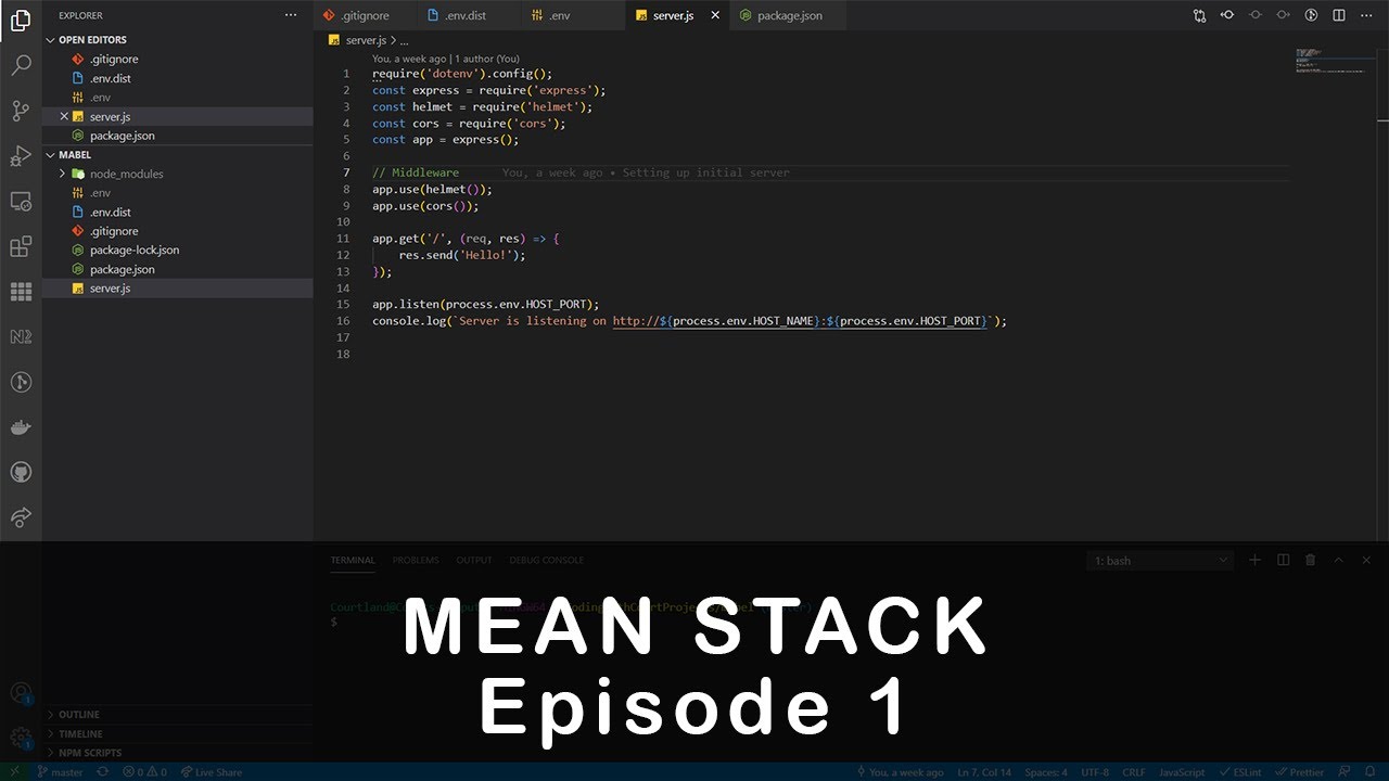 MEAN Stack Tutorial  - Project Setup