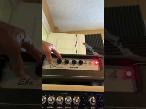 EBO Customs EBO E-Verb Most awesome tube driven reverb | Reverb