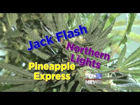 Pot Names: Where do they come from?