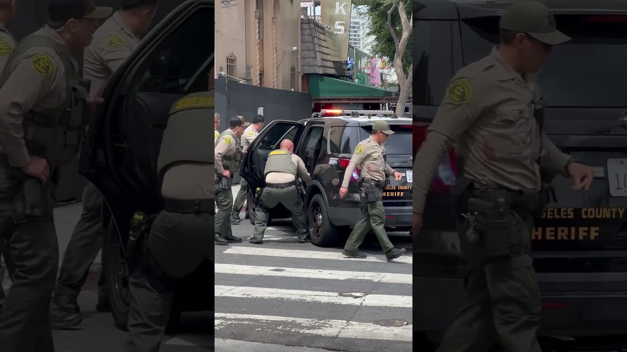 The Los Angeles Sheriff’s Department Force A Suspect Into Their Patrol Vehicle In #westhollywood
