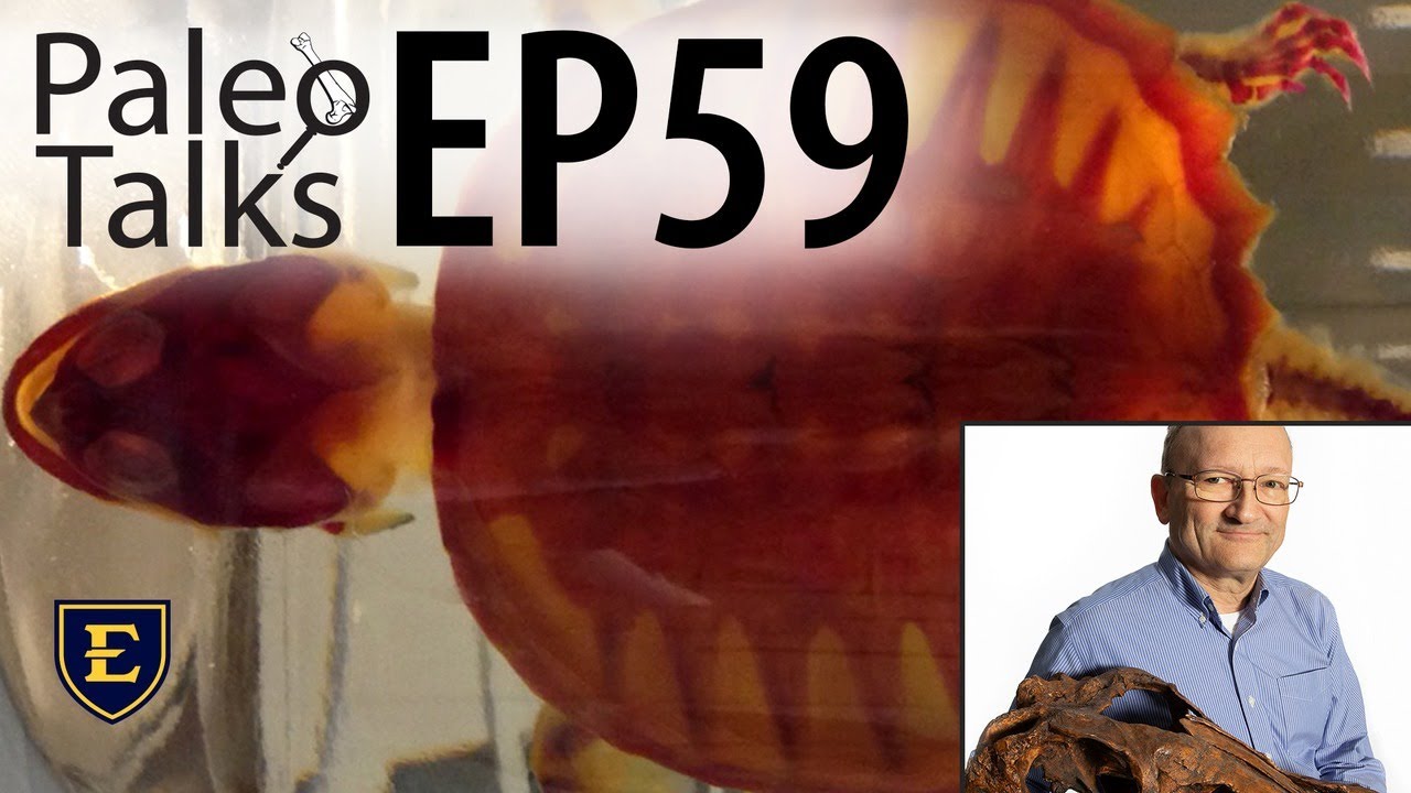 Unraveling the Mystery of Turtle Shell Evolution | Galaxy.ai