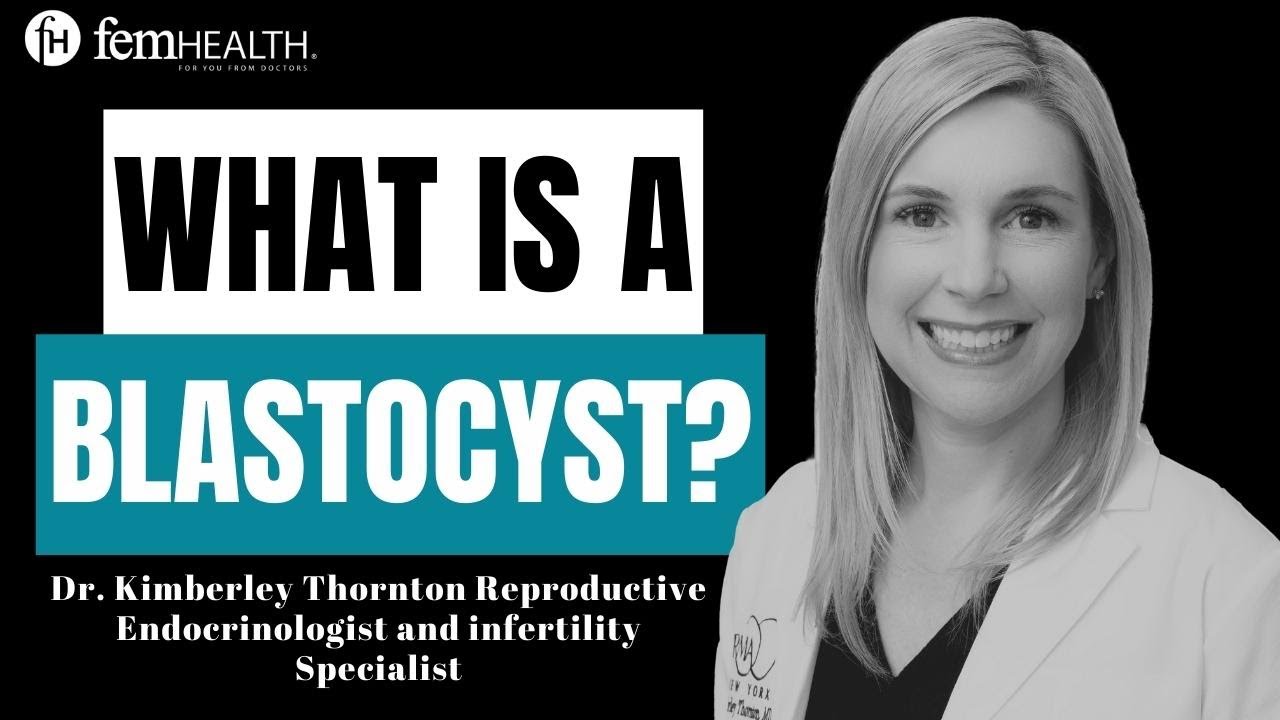 What is a Blastocyst in IVF? - IVF Process (Step by Step)